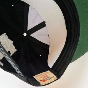 Accessories | Vintage Death Row Records Hat Nwa 2pac Dr Dre Cap ...